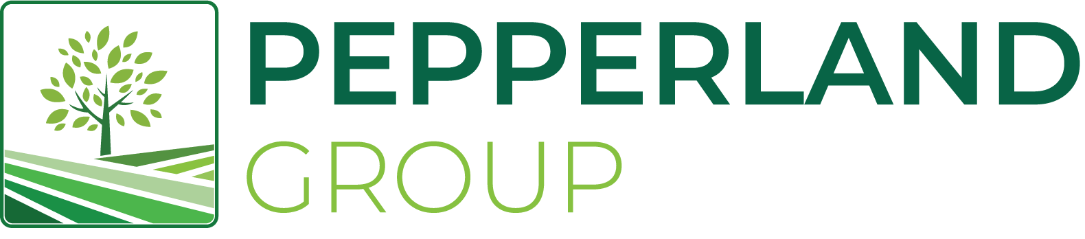 Properties - Pepperland Group